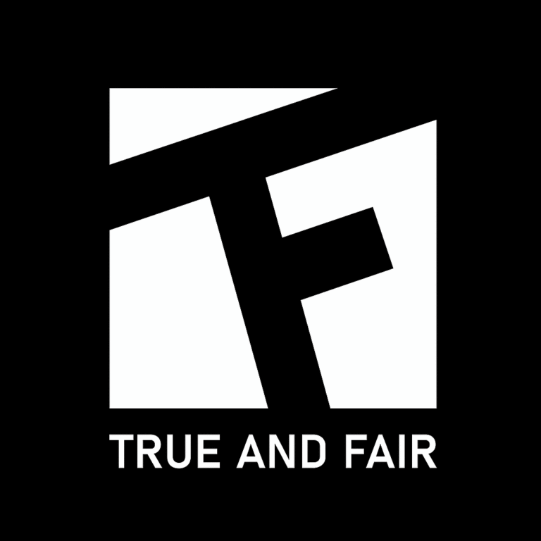 ADOC: Powering True and Fair's Vision with a Scalable Audit ...